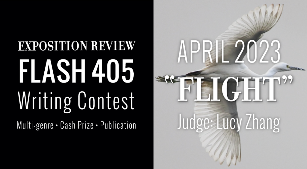 Call for Entries: Flash 405, April 2023: "Flight" - Exposition Review